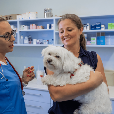 Best Veterinary Hospital In Fayetteville, AR | LocalVet UC